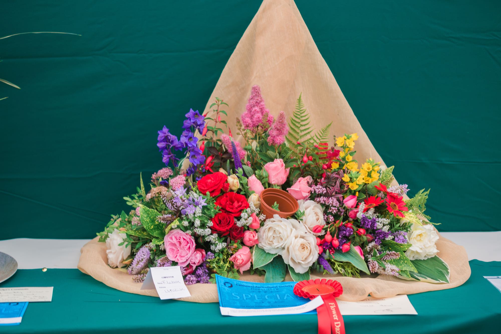 Flower Show – Caithness Show