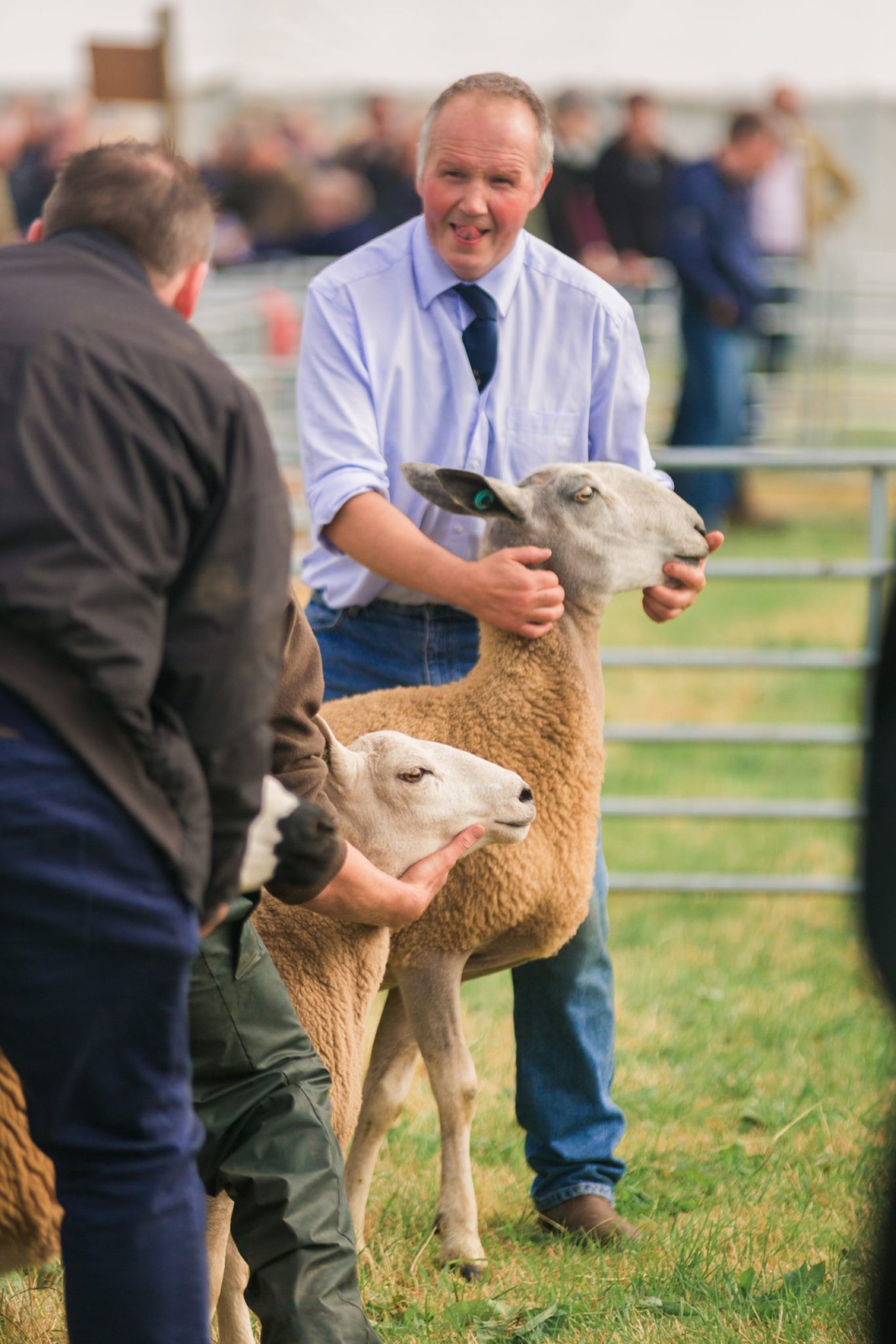 About – Caithness Show