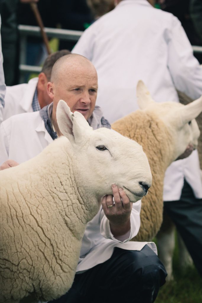 A Day at Caithness Show – Caithness Show