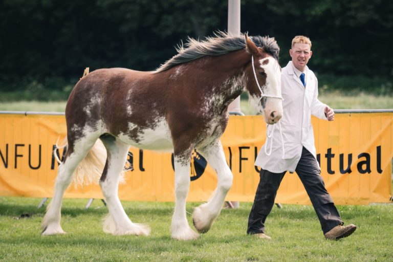 A Day at Caithness Show – Caithness Show